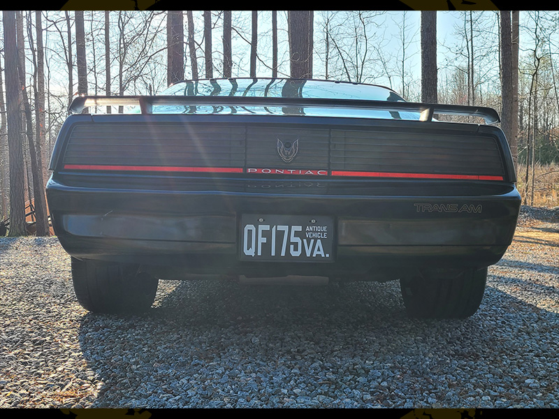 1984 Pontiac Firebird - 19x10.5 ESR Wheels 295/30R19 Bridgestone Tires